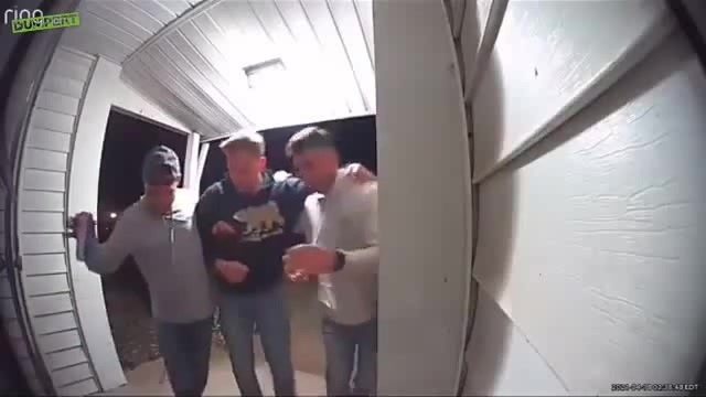 Why do you got a pizza cutter? - Coub - The Biggest Video Meme Platform