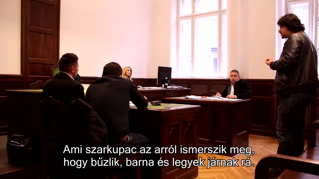 Szarkupac ( Puzsér Róbert vs. Hajdú Péter) - Coub - The Biggest Video ...