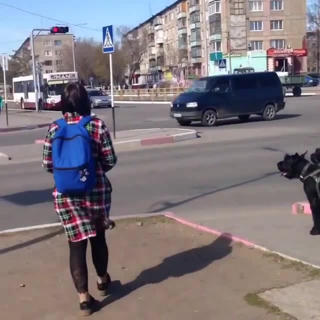 Cool Grandma - Coub - The Biggest Video Meme Platform