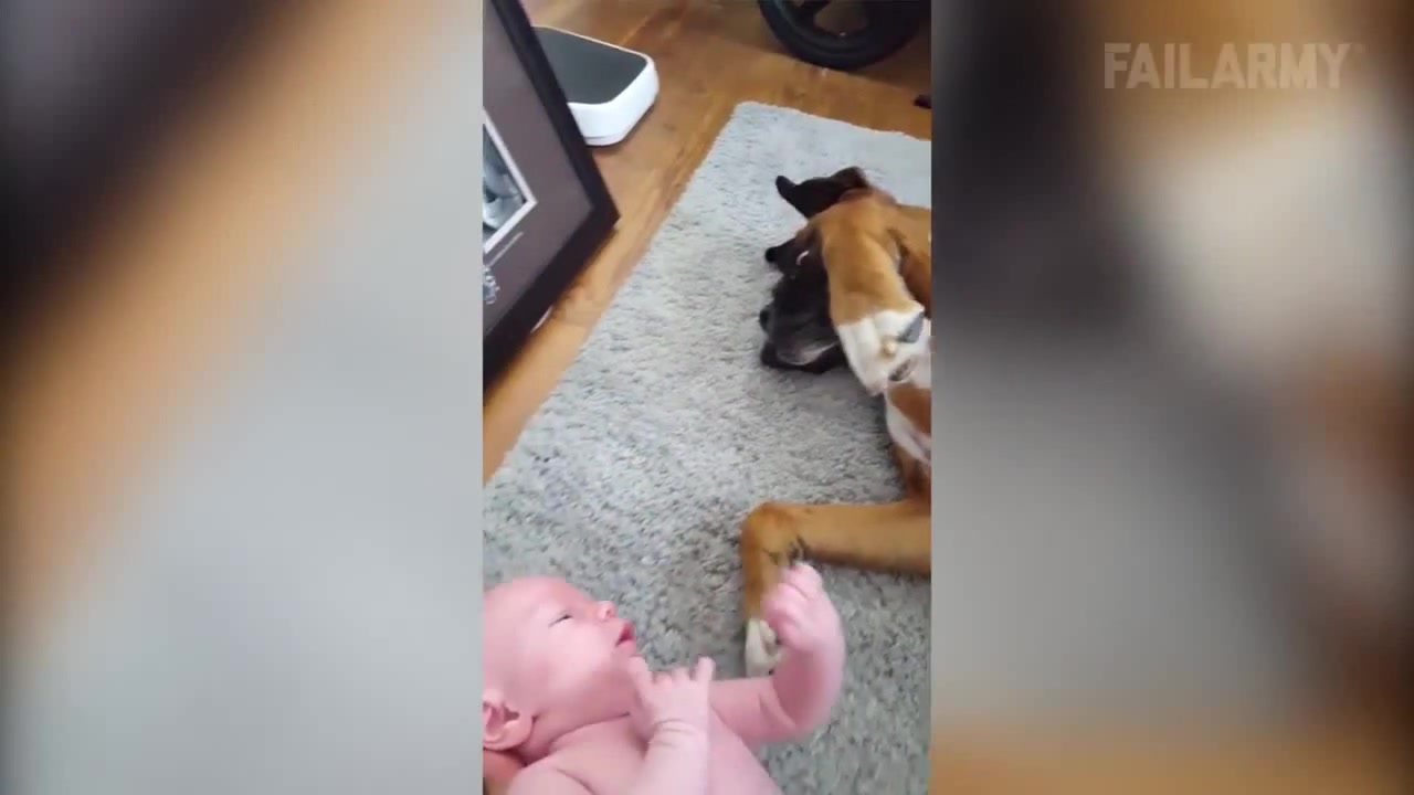 Ultimate Fails Compilation 2016: Part 2 (December 2016) || FailArmy - Coub - The Biggest Video ...