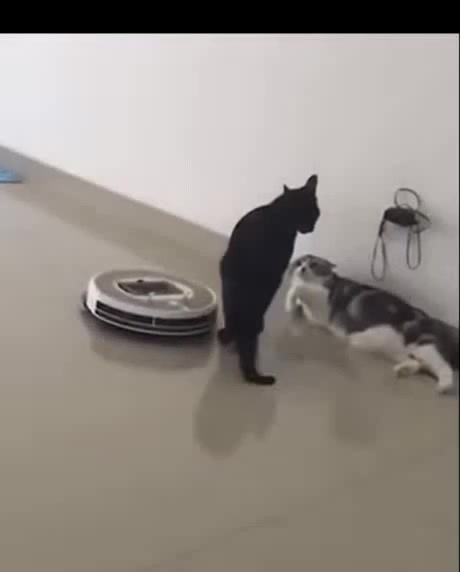 Smooth.. - Coub - The Biggest Video Meme Platform