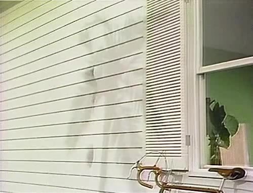 Jumping Through Walls - Coub - The Biggest Video Meme Platform