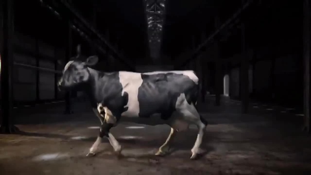 Polish Cow 4K (RTX ON) - Coub - The Biggest Video Meme Platform