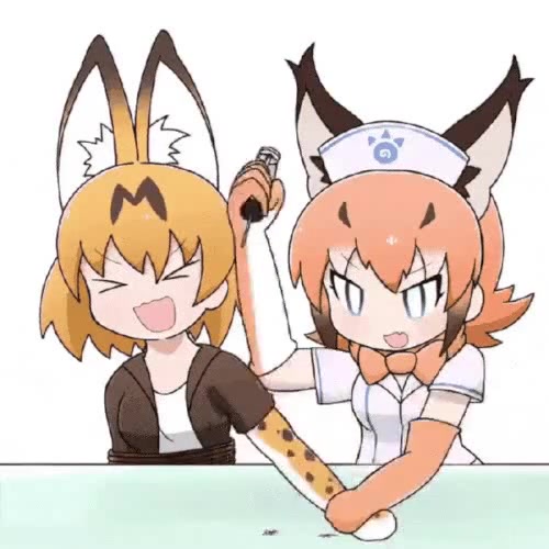 anime| Kemono Friends|gif|caracal|Serval - Coub - The Biggest Video ...
