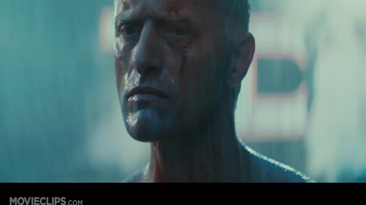 Tears in the Rain - Blade Runner 1 - Coub - The Biggest Video Meme Platform