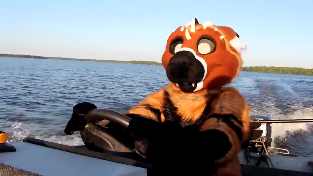 Telephone furry - Drive - Coub - The Biggest Video Meme Platform
