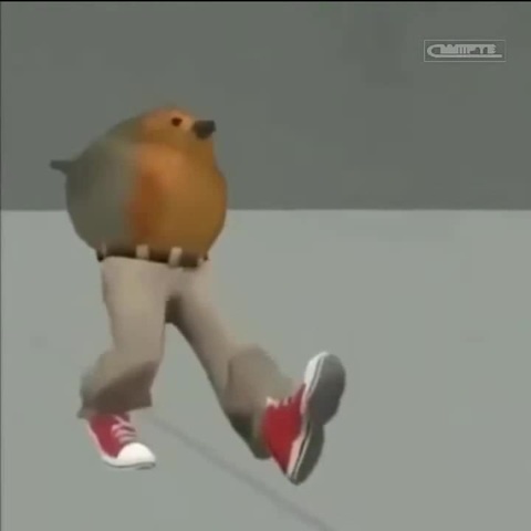 Снегр - Coub - The Biggest Video Meme Platform