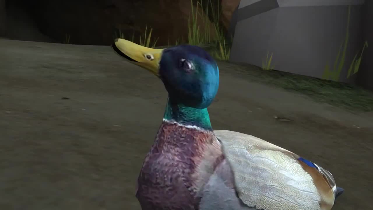 [SFM] Duck.exe has stopped working - Coub - The Biggest Video Meme Platform