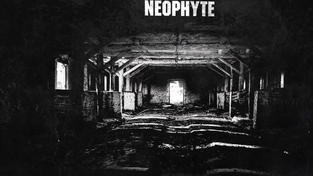 Neophyte - The Ultimate Sound - Coub - The Biggest Video Meme Platform