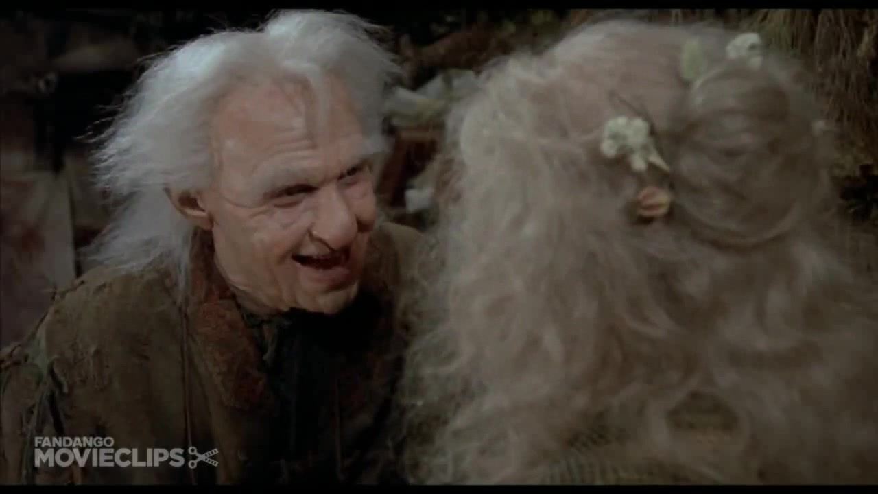 The Princess Bride (8/12) Movie CLIP - Miracle Max (1987) HD - Coub ...