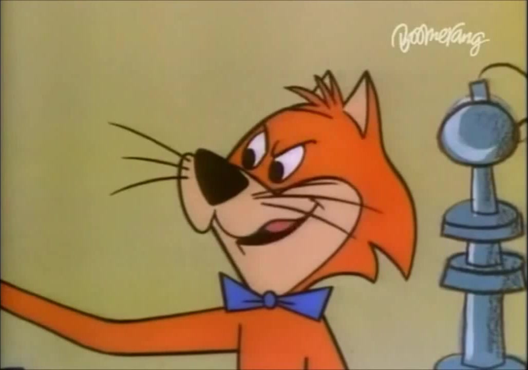 Én csak egy kurva macska vagyok… - Coub - The Biggest Video Meme Platform