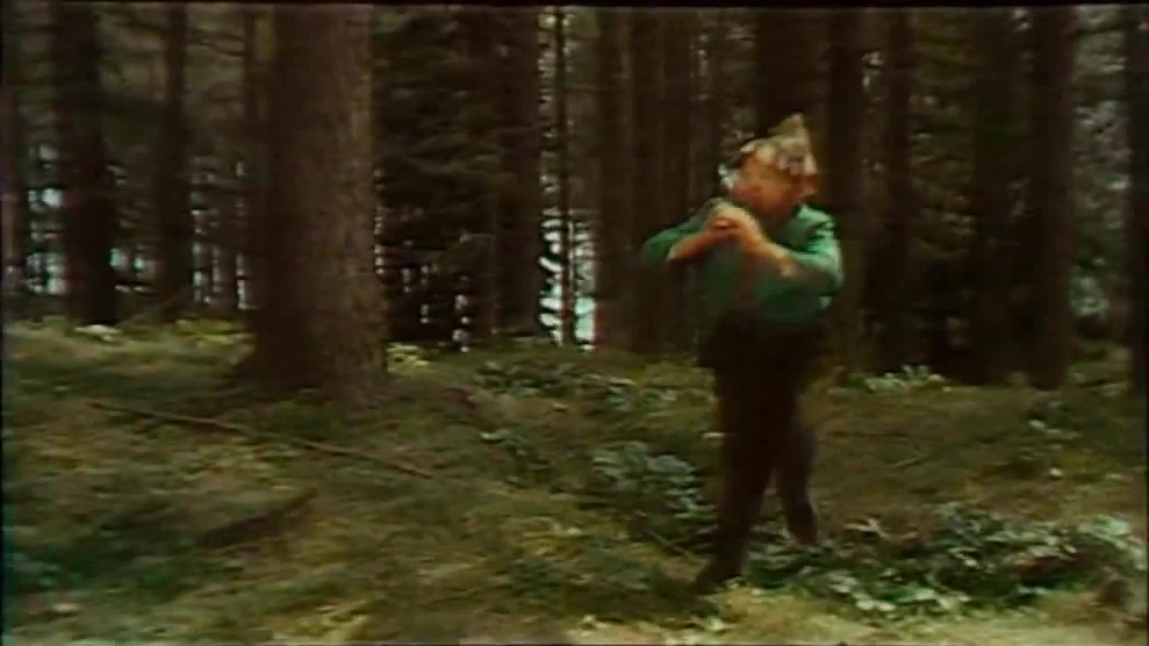 super flute gnome - Coub - The Biggest Video Meme Platform