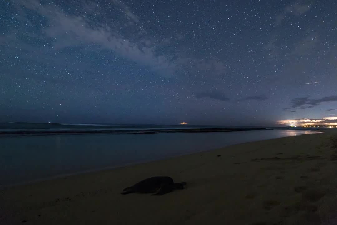 Do you feel? - Coub - The Biggest Video Meme Platform