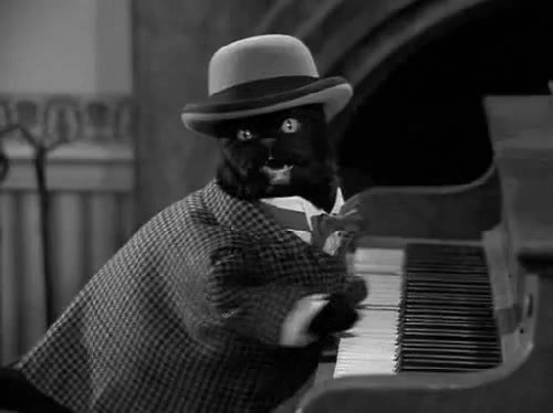 Mr. Catman - Coub - The Biggest Video Meme Platform