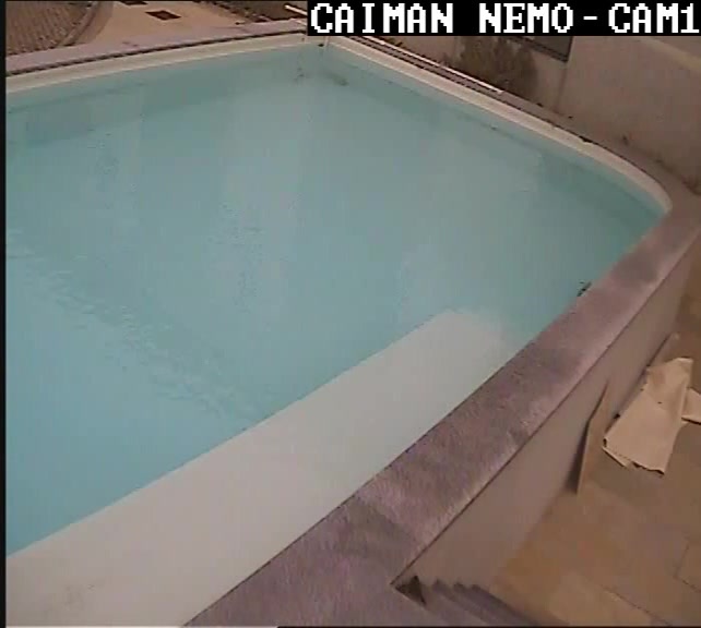 Pool cleaner robot - Coub - The Biggest Video Meme Platform