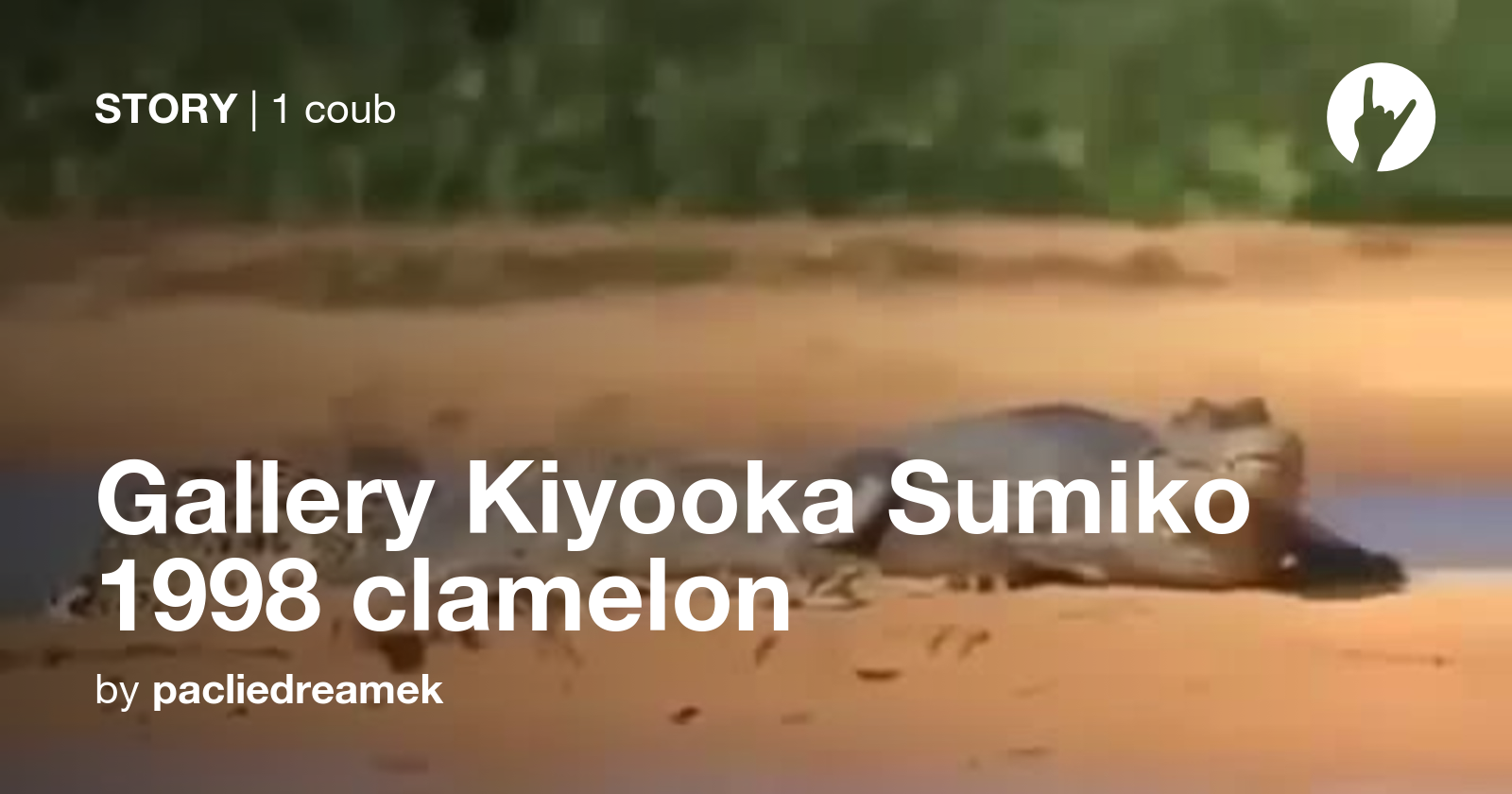 Gallery Kiyooka Sumiko 1998 clamelon - Coub